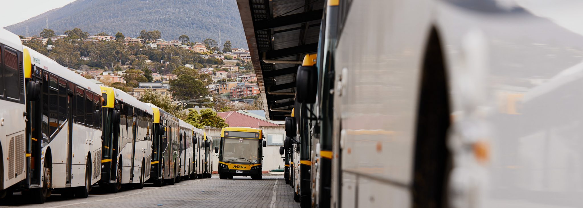 Contractor Registration - Safety Management